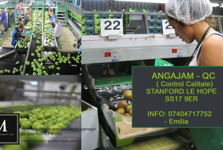 Angajam Controlor Calitate Fabrica in Stanford-Le-Hope • Anunturi UK